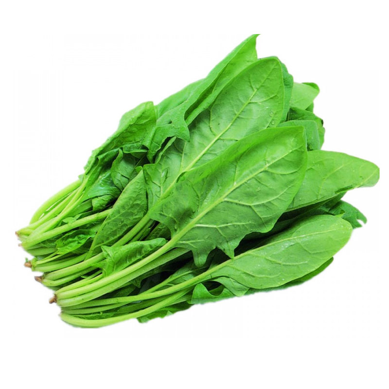 Cải bó xôi